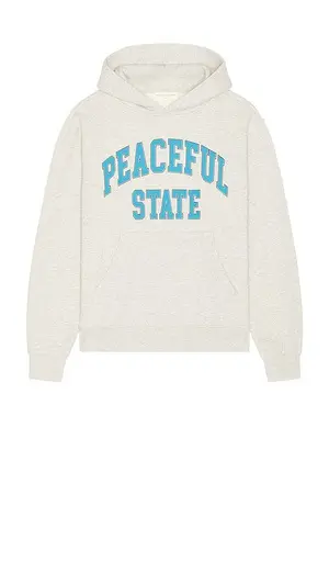 MUSEUM OF PEACE & QUIET Peaceful Hoodie In Grey
