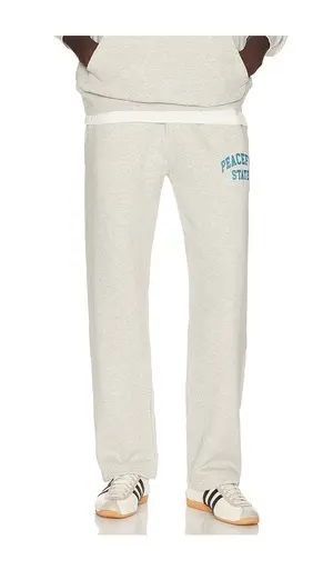 MUSEUM OF PEACE & QUIET Peaceful Sweatpants In Grey - Ash