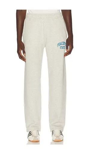 MUSEUM OF PEACE & QUIET Peaceful Sweatpants In Grey