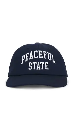 MUSEUM OF PEACE & QUIET Peaceful Dad Hat In Blue