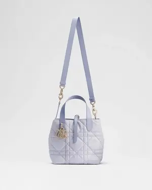 Dior Small Toujours Vertical Tote Bag