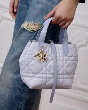 Dior Small Toujours Vertical Tote Bag