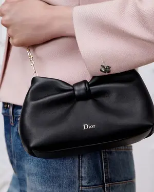Dior Mini Bow Bag