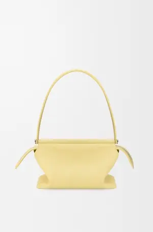 Loewe Small Whisker Bag In Glazed Calfskin