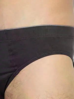 Hanro Cotton Briefs