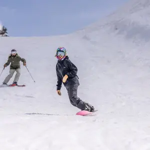 Turtle Fur Mount Hood Overhood