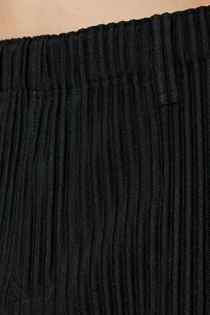 Issey Miyake Pleated Trousers