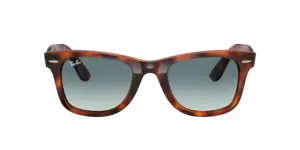 Ray-ban Sunglass Wayfarer Ease