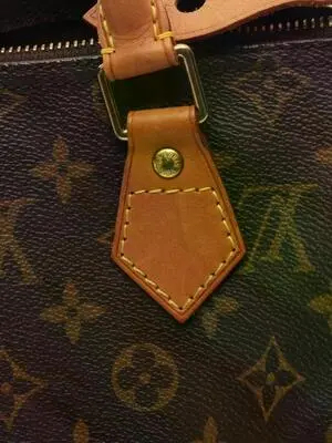 LOUIS VUITTON 2003 25 Speedy Monogram Handbag