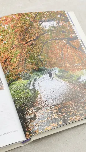 GRAPHIC IMAGE Walk With Me New York Book
