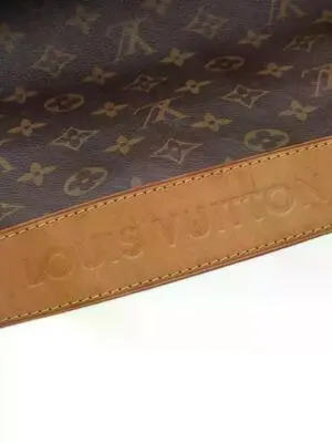 LOUIS VUITTON 2010 Pm Delightful Monogram Shoulder Bag - Brown
