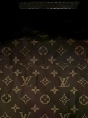 LOUIS VUITTON 2021-2026 Econyl Monogram Pillow Onthego Gm Satchel