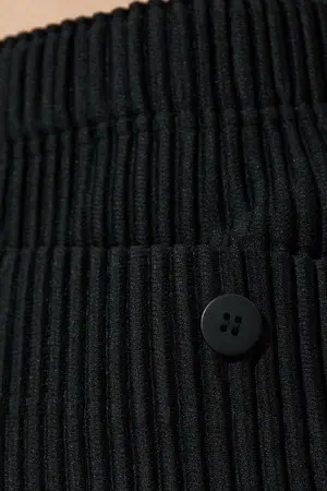 Issey Miyake Pleated Trousers