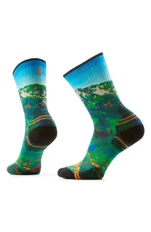 Smartwool Hike Targeted Cushion Mountain Lake Crew Socks
