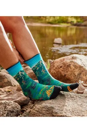 Smartwool Hike Targeted Cushion Mountain Lake Crew Socks