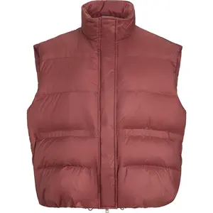 Brunello Cucinelli Water-resistant Down Vest
