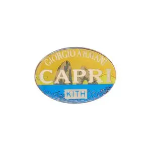 Kith Giorgio Armani & Capri Pin 'multi
