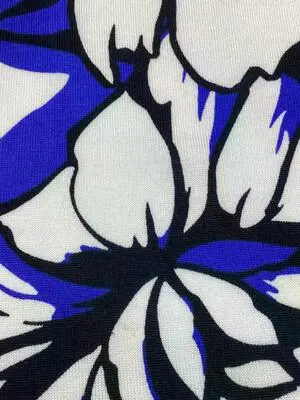 Diane Von Furstenberg Floral-print Wrap Dress - Blue