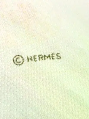 Hermès 2010s La Voie Lactee Scarf - Neutrals