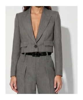 Elisabetta Franchi Cropped Jacket - Light Gray