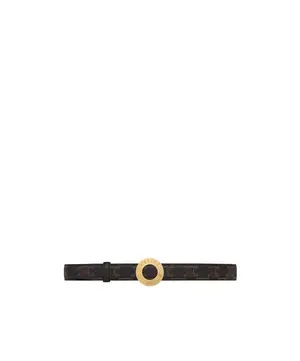 Celine Disc-clasp And Reversible Belt - Miel
