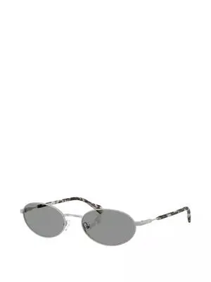 Emporio Armani Oval-frame Sunglasses
