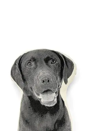 BRODERPRESS Labrador Retriever Pillow