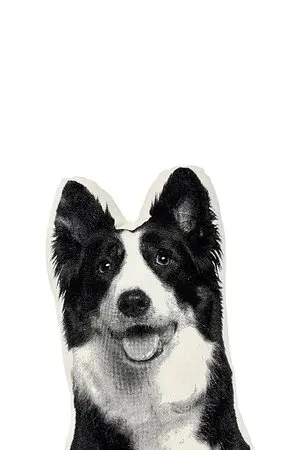 BRODERPRESS Border Collie Pillow