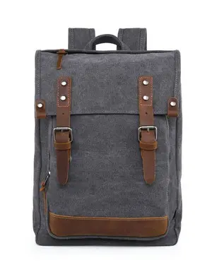 TSD BRAND Discovery Canvas Laptop Backpack - Grey