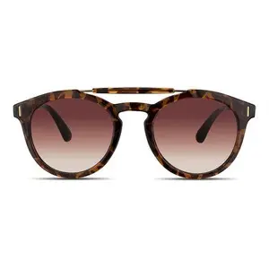 VELVET EYEWEAR Amelia-polarized - Tortoise