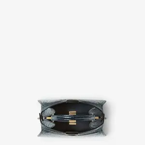 Fendi Peekaboo Iseeu Petite