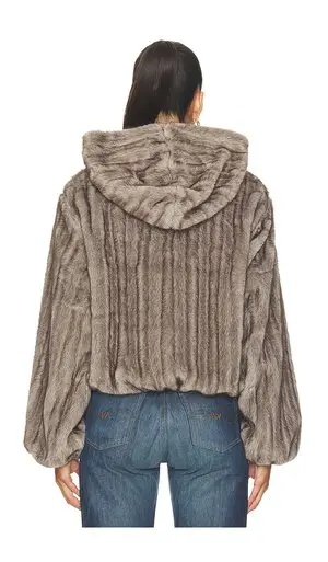 Steve Madden Carmilla Jacket In Grey