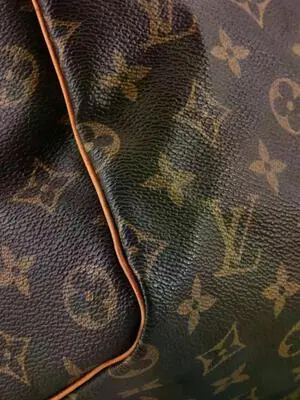 LOUIS VUITTON Speedy Handbag Monogram Canvas 40 Satchel - Brown