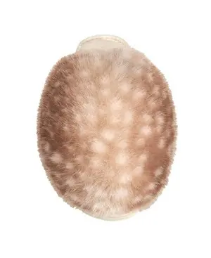 Thalia Sodi Bambi Sheepskin Fur Band Slipper