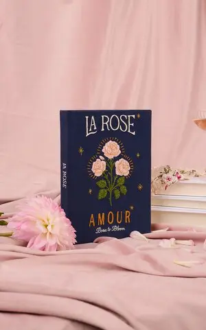 OLYMPIA LE-TAN La Rose Book Clutch - Navy