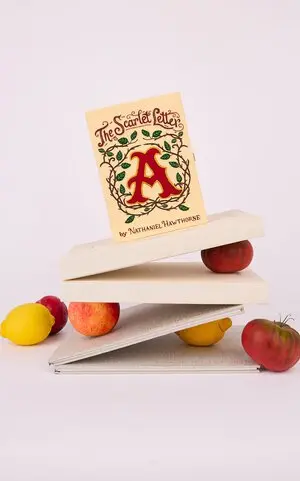 OLYMPIA LE-TAN The Scarlet Letter Book Clutch - Multi