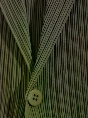 Issey Miyake Pleated Notch-lapel Jacket