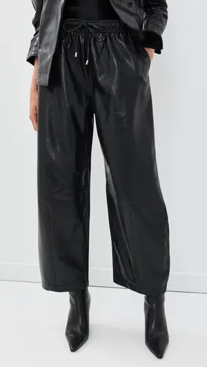 Cinq À Sept Vegan Leather Brooks Pants