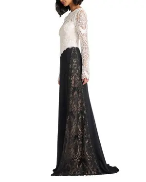 Tadashi Shoji Vianne Lace Illusion Gown