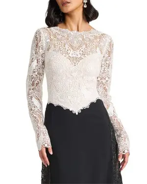 Tadashi Shoji Vianne Lace Illusion Gown