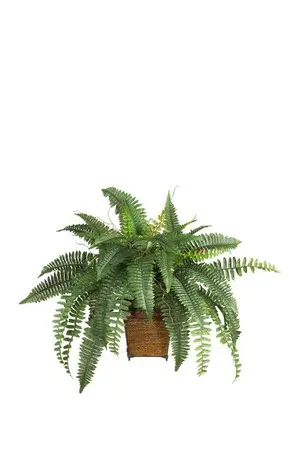 NEARLY NATURAL Boston Fern With Wicker Basket Artificial Plant - Green