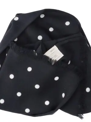 Destin Thin Polka-dot Scarf