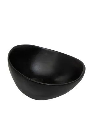 Dinosaur Designs Flow Spice Dish