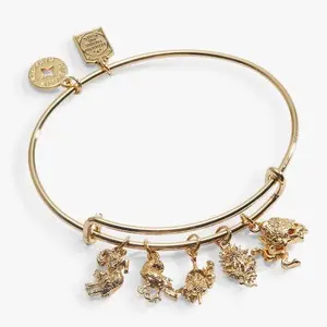 ALEX AND ANI A Court Of Thorns And Roses Book Covers Charm Bangle - Gold