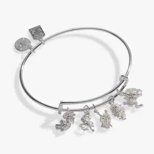 ALEX AND ANI A Court Of Thorns And Roses Book Covers Charm Bangle - Silver