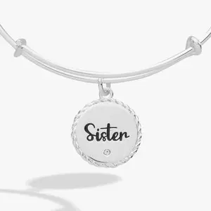 ALEX AND ANI Sister 'woven Together Unbreakable Bonds' Charm Bangle