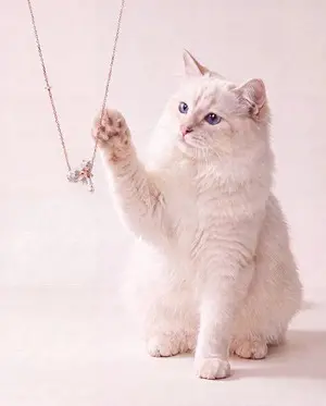 ALEX AND ANI Fluffy Cat Inline Necklace