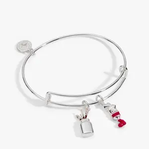 ALEX AND ANI Painter's Multicharm Bangle - Silver