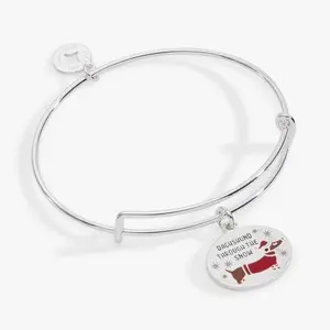 ALEX AND ANI Dachshund Through The Snow' Dog Charm Bangle