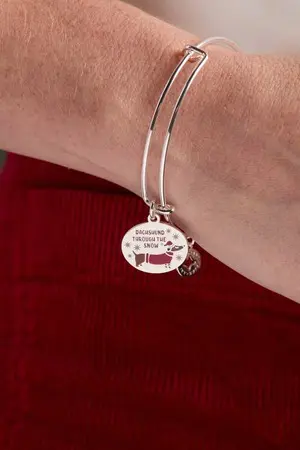 ALEX AND ANI Dachshund Through The Snow' Dog Charm Bangle